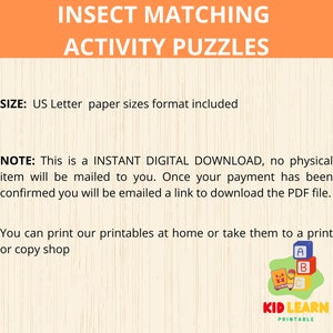 Insect Matching Activity, Insect Puzzles, Insect Symmetry, Bug Matching ...
