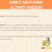 Insect Matching Activity, Insect Puzzles, Insect Symmetry, Bug Matching ...
