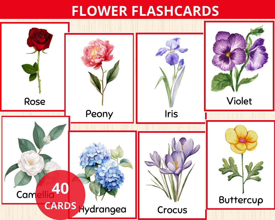 Flower Flashcards,flower Unit Study,nature Abc,spring Preschool ...