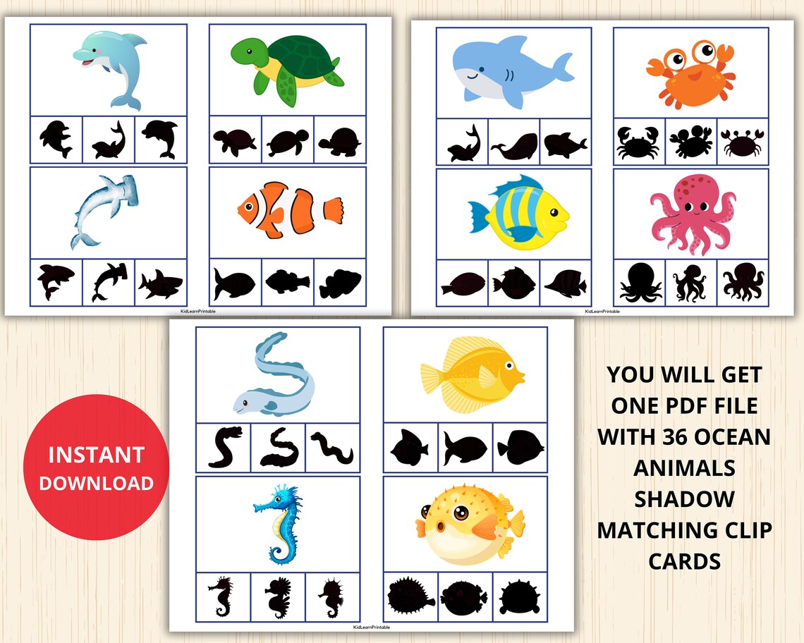 Ocean Animals Shadow Clip Cards,silhouette Matching,summer Matching ...