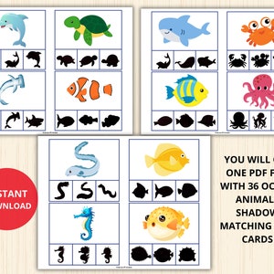 Ocean Animals Shadow Clip Cards,silhouette Matching,summer Matching ...