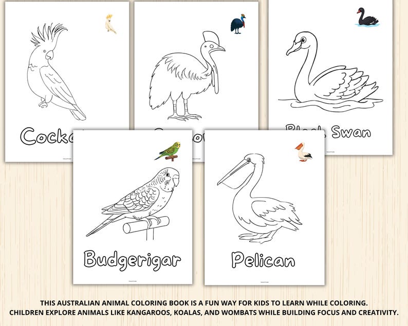Australian Animals Coloring Pages,australian Animals Preschool,aussie ...
