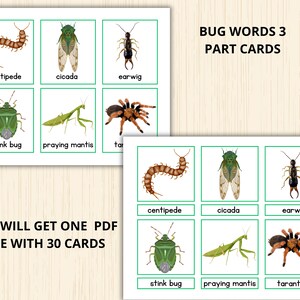 Insect Montessori Printable 3 Part Cards,bug Montessori 3 Part Cards ...
