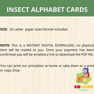 Insect Flashcards, Bug Alphabet,insect Alphabet Cards, Alphabet Flash ...