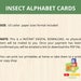 Insect Flashcards, Bug Alphabet,insect Alphabet Cards, Alphabet Flash ...