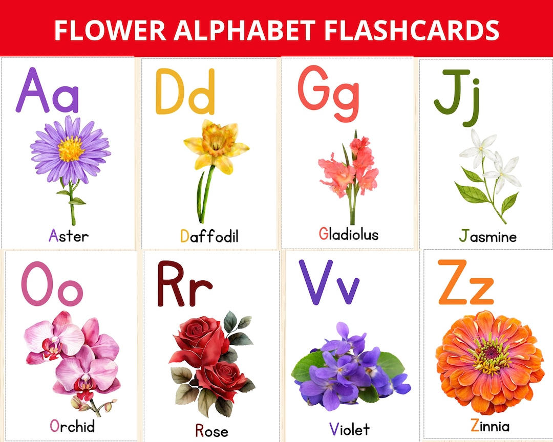 Flower Alphabet,flower Flashcards,flower Identification Cards,abc ...