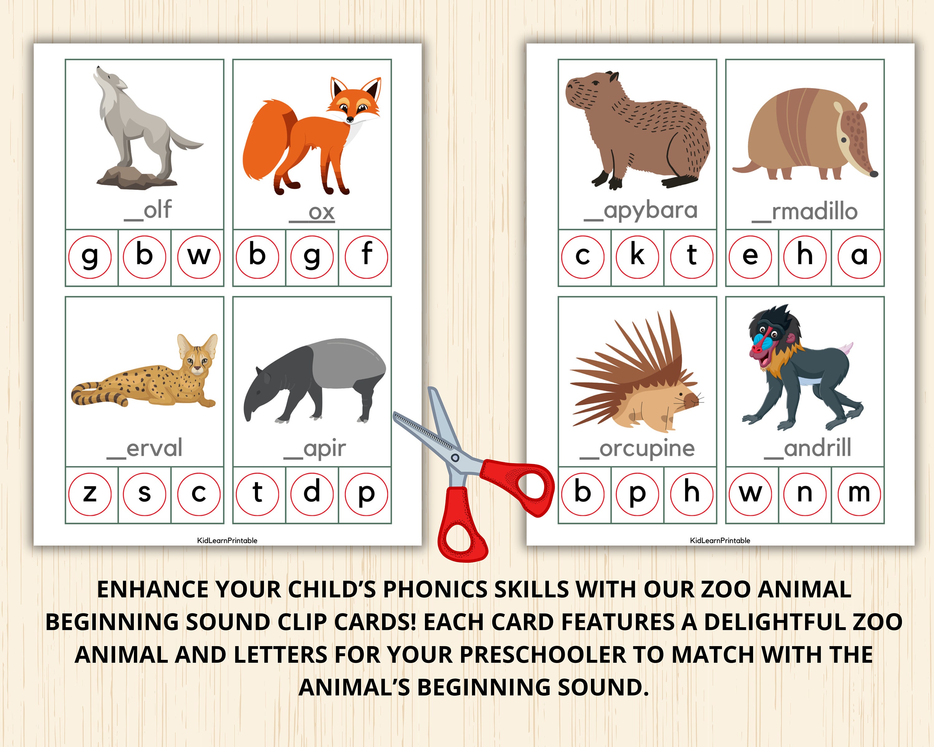 Zoo Animals Beginning Sounds,zoo Montessori,animals Preschool,preschool ...