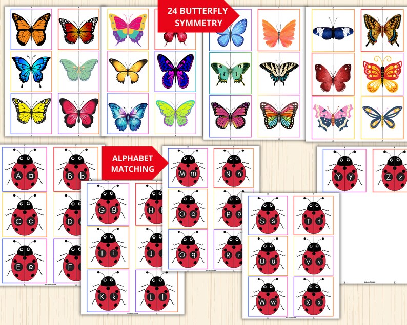Insect Unit Study,preschool Curriculum,insect Bundle,insect Montessori ...