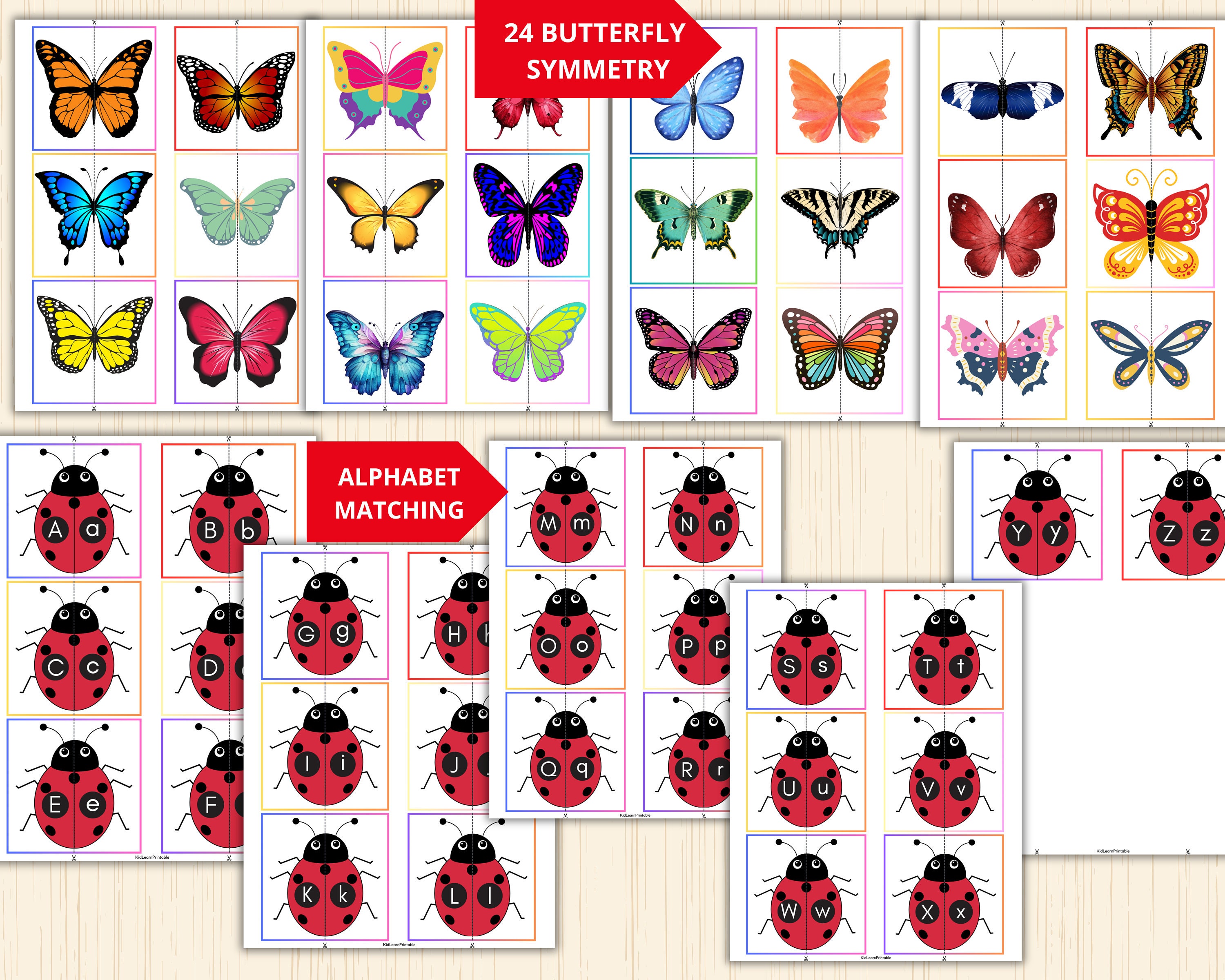 Insect Unit Study,preschool Curriculum,insect Bundle,insect Montessori ...