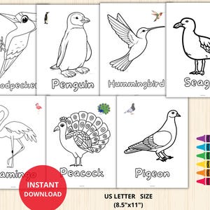 Bird Coloring Pages,bird Coloring Sheets,bird Preschool Activity,bird ...