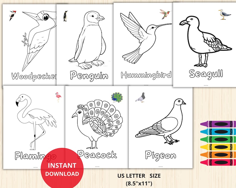 Bird Coloring Pages,bird Coloring Sheets,bird Preschool Activity,bird ...