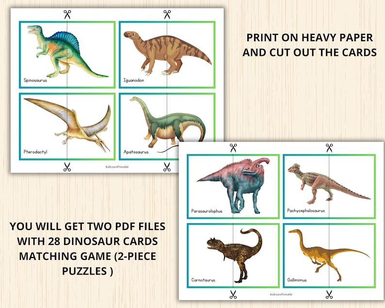 Dinosaur Flashcard,halves Matching,dinosaur Montessori,dinosaur ...