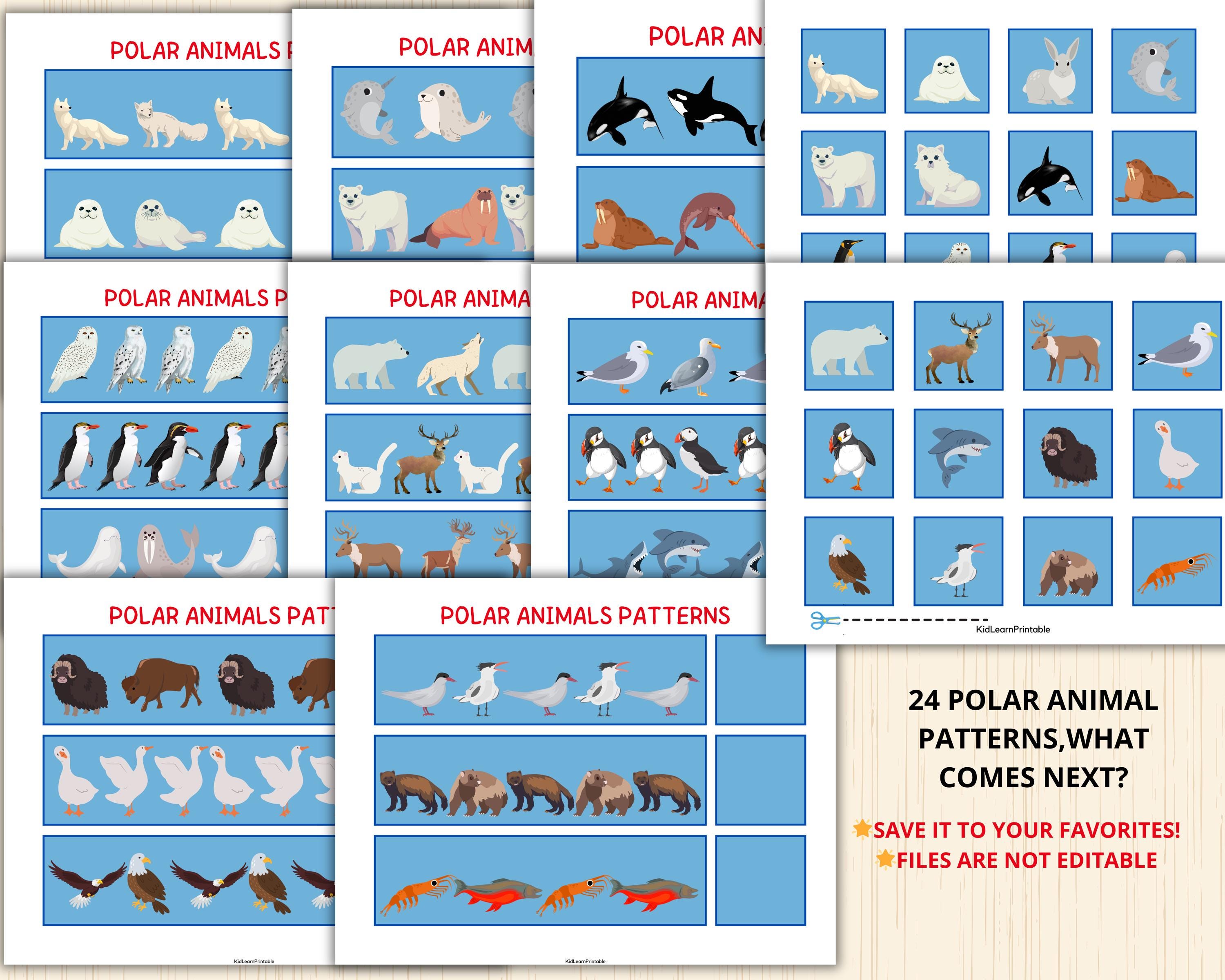 Arctic Animals Bundle,polar Animals Preschool Activity,arctic Animal ...