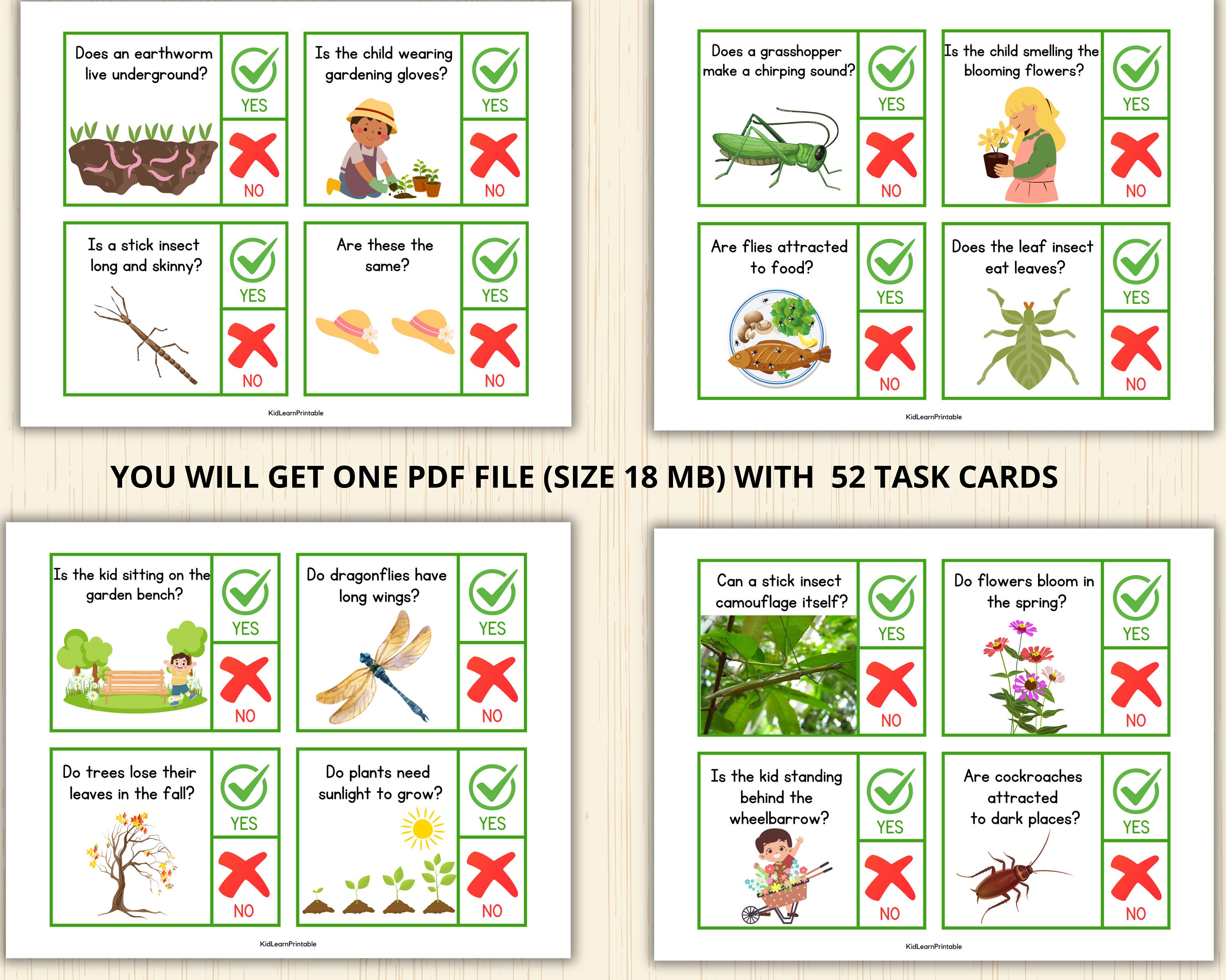 Spring Question Card,yes or No Question,spring Activities,spring Task ...