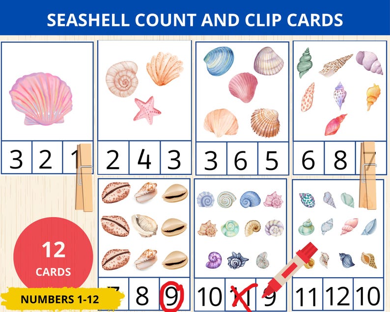 Seashell Count and Clip Card,summer Count & Clip Card,shells Counting ...