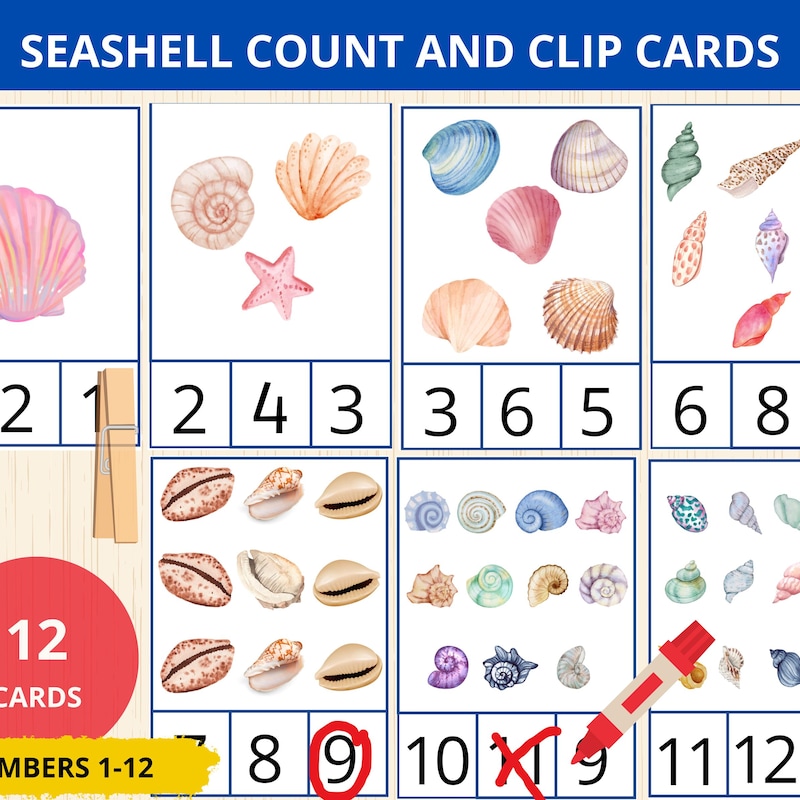 Seashell Ocean - Etsy