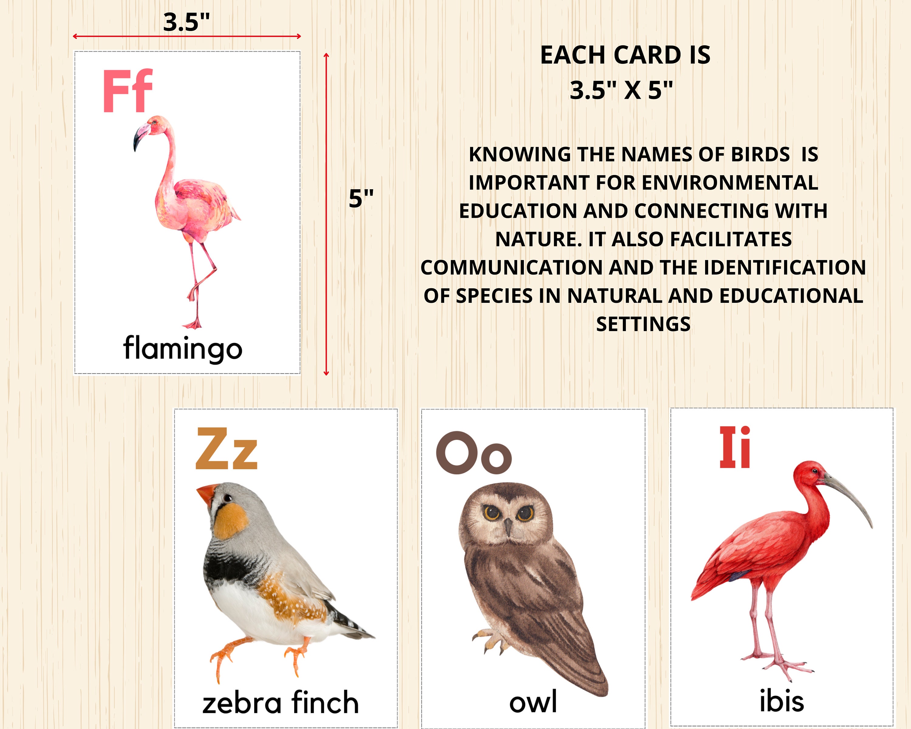 Birds Flashcards, Birds Alphabet Cards, Alphabet Flash Cards, Birds ...