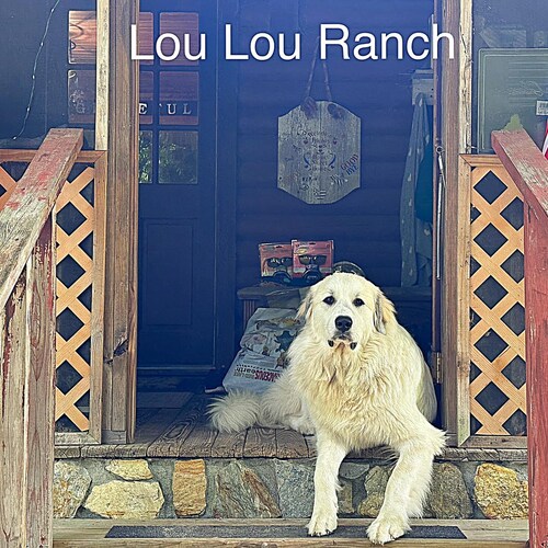 TheLoulouRanch - Etsy