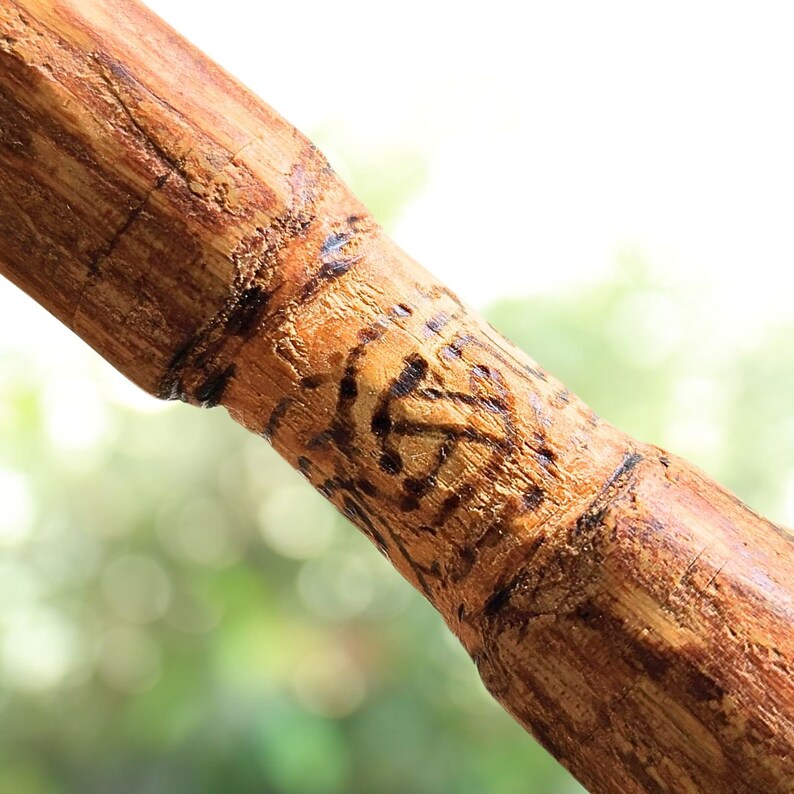 Handcrafted Japanese Ash Long Ritual Wand | Druids Wand | Celtic Design ...