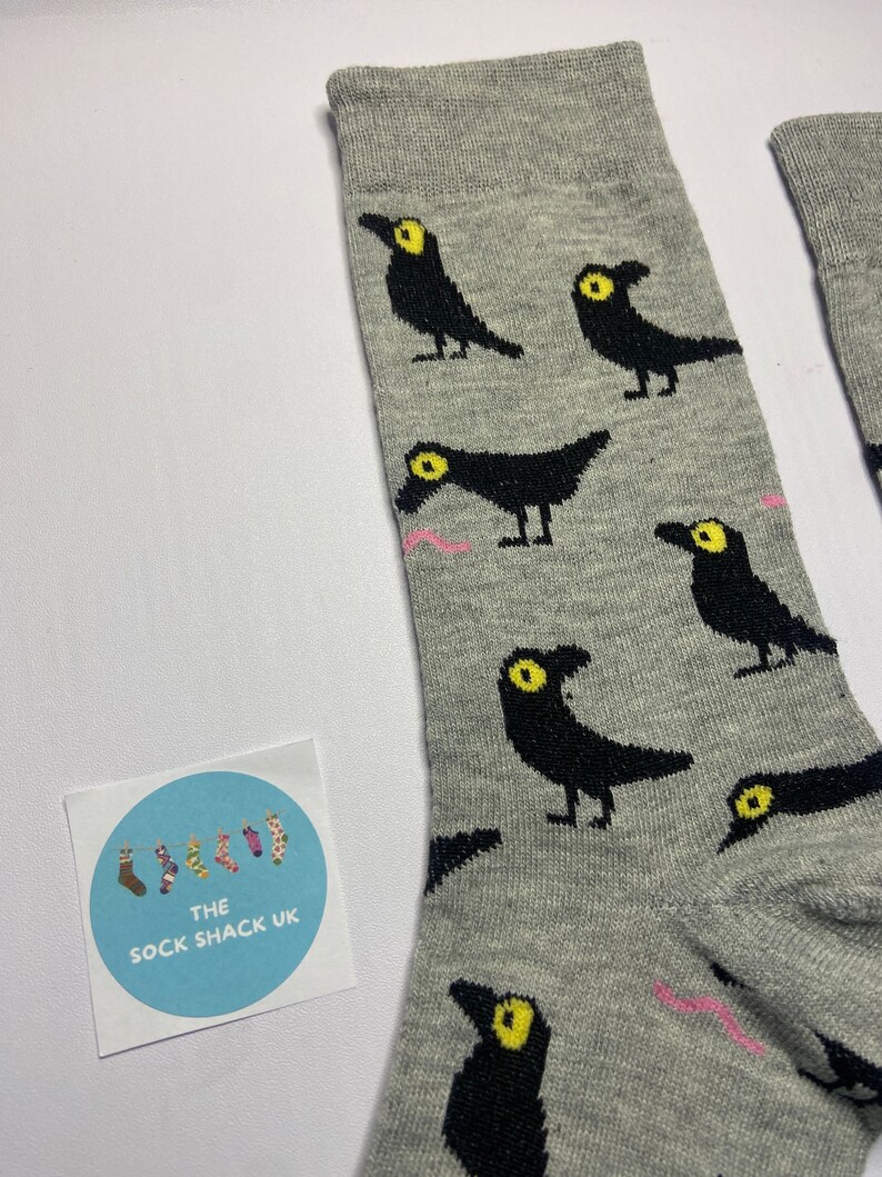 Crow Socks and Chocolate Gift Box, Novelty Socks, Animal Socks, Worm ...