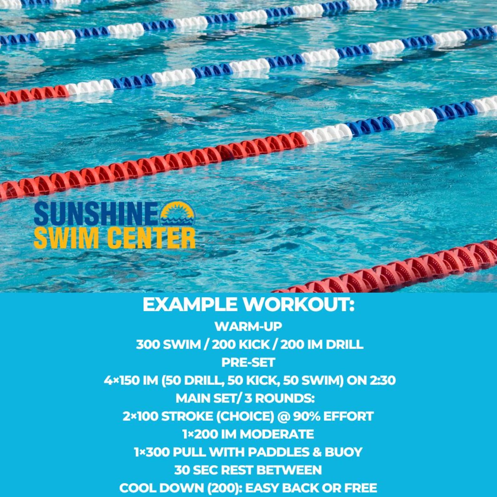 Adult Swim Workouts- Long Distance Swim Sets - Etsy