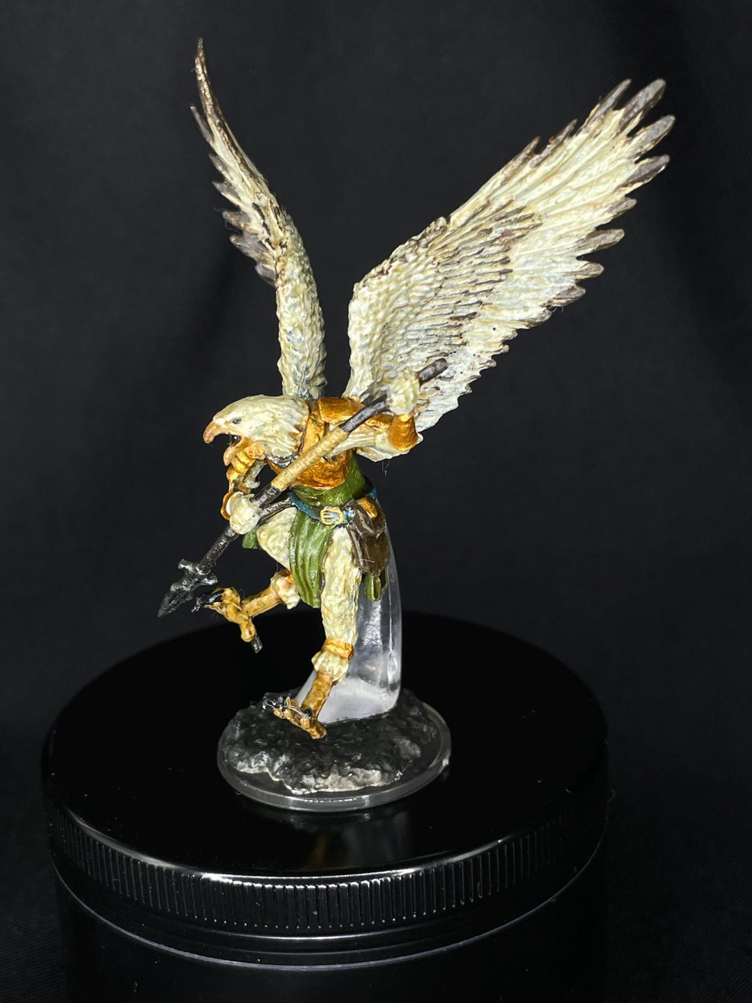 Aarakocra Fighter - Hand Painted Miniature - Etsy