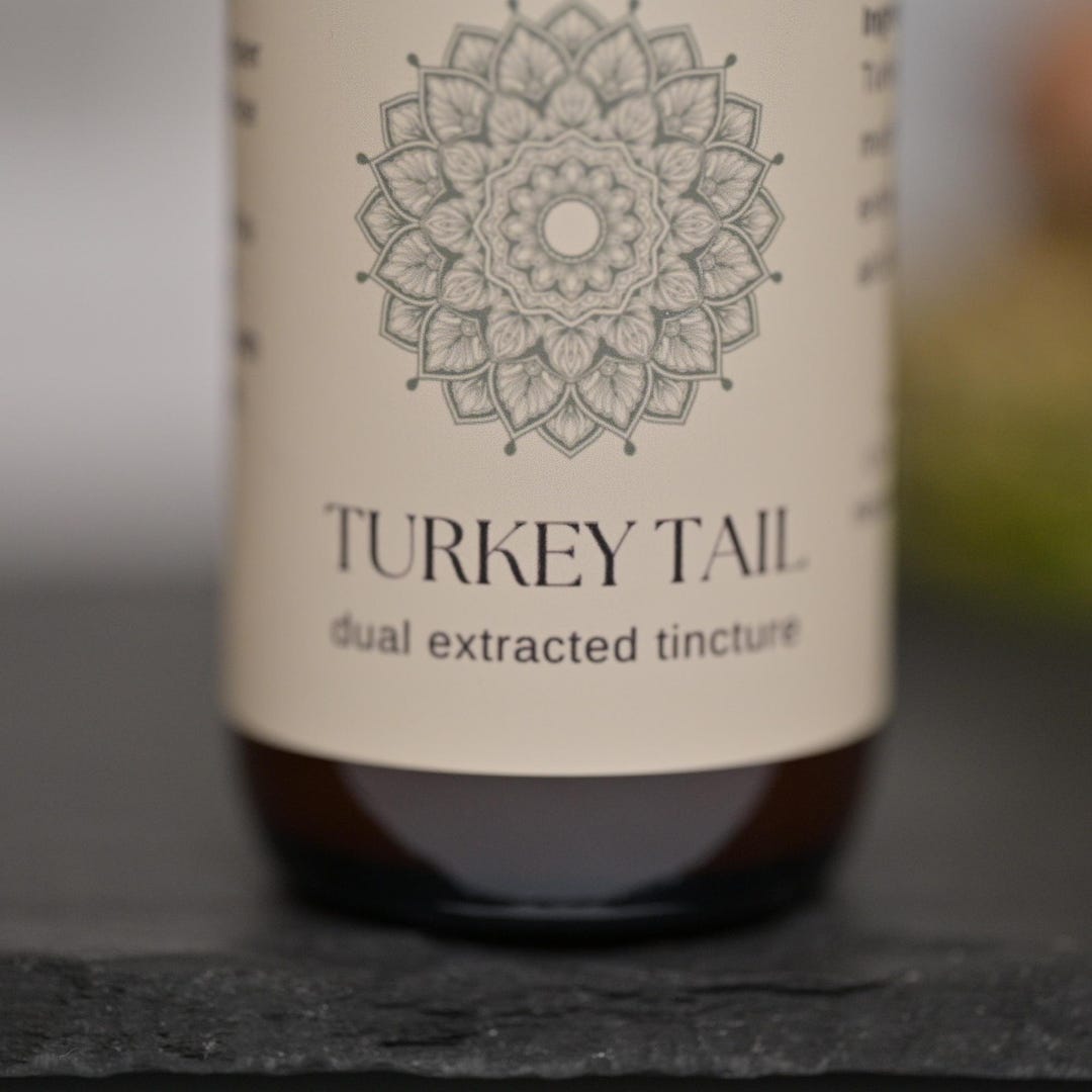 Turkey Tail Trametes Versicolor Forage Wild Harvested Mushroom Tincture ...