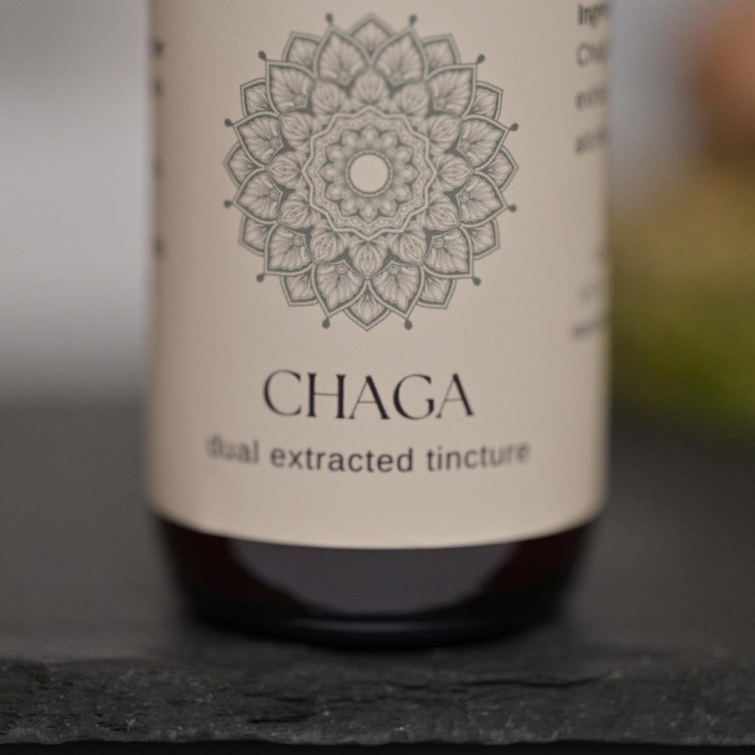 Chaga Inonotus Obliquus Mushroom Tincture Wild Foraged Antioxidant ...