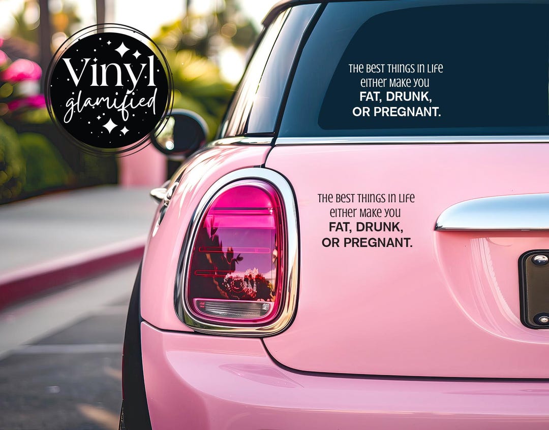 Funny Life Truths Decal | Witty Bumper Sticker - Etsy