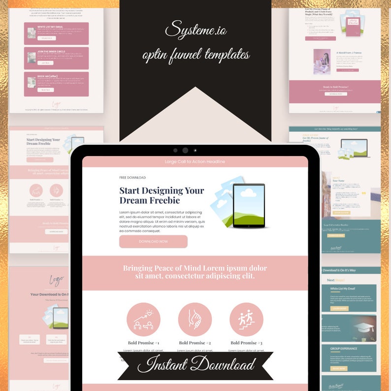 Systeme.io Opt-in Page Landing Page Lead Magnet Page Coaching Template ...