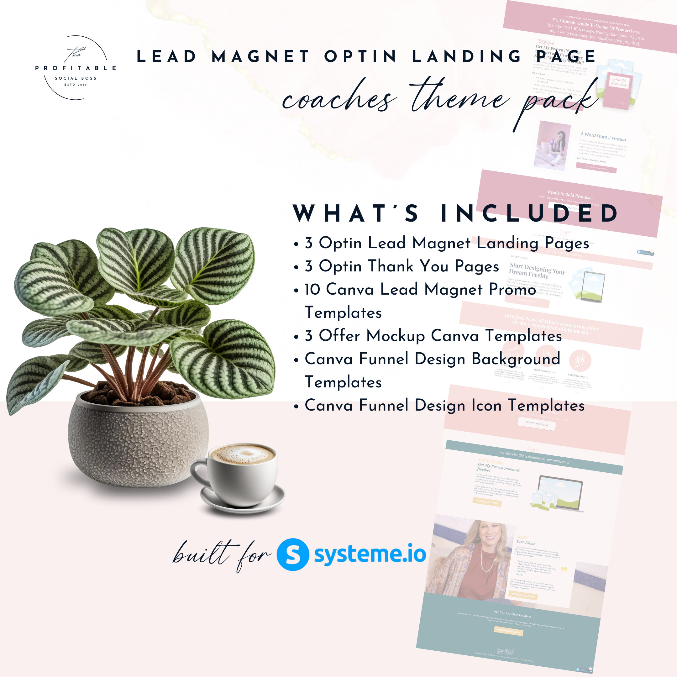 Systeme.io Opt-in Page Landing Page Lead Magnet Page Coaching Template ...