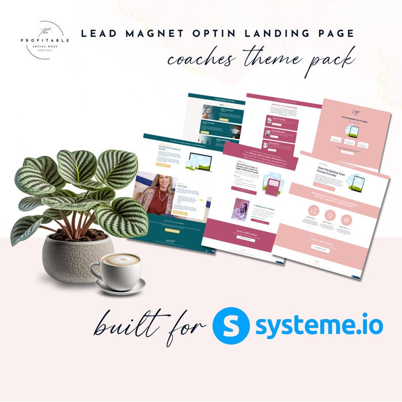 Systeme.io Opt-in Page Landing Page Lead Magnet Page Coaching Template ...