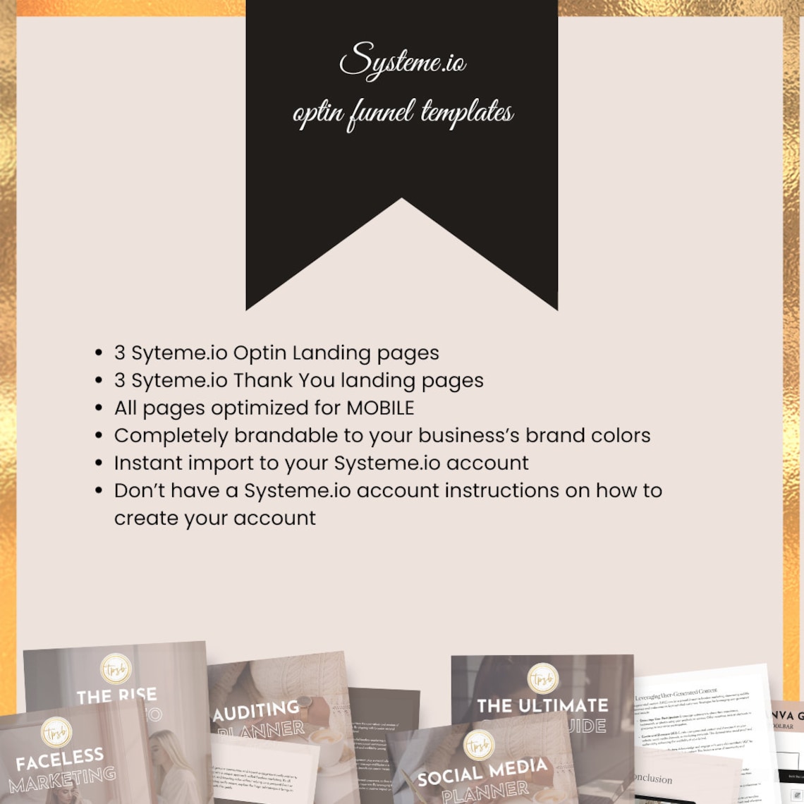 Systeme.io Opt-in Page Landing Page Lead Magnet Page Coaching Template ...