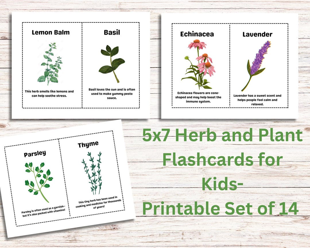 Herbs and Plants Flashcards for Kids – 14 Printable Cards for ...