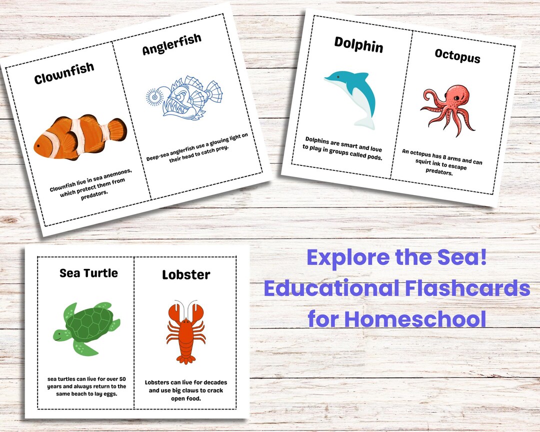 Ocean Animal Flashcards for Kids | Printable Sea Life Homeschool ...