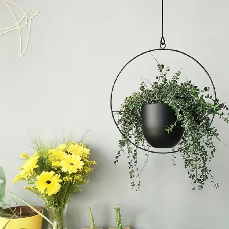 Contemporary Black Circle Plant Hanger - Stylish Hanging Plant Holder ...