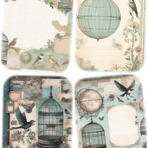 Birds World, Scrapbook Paper, Digital Printable Papers, Background, Non ...