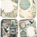 Birds World, Scrapbook Paper, Digital Printable Papers, Background, Non ...
