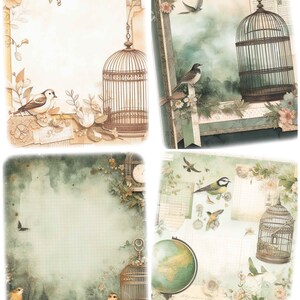 Birds World, Scrapbook Paper, Digital Printable Papers, Background, Non ...