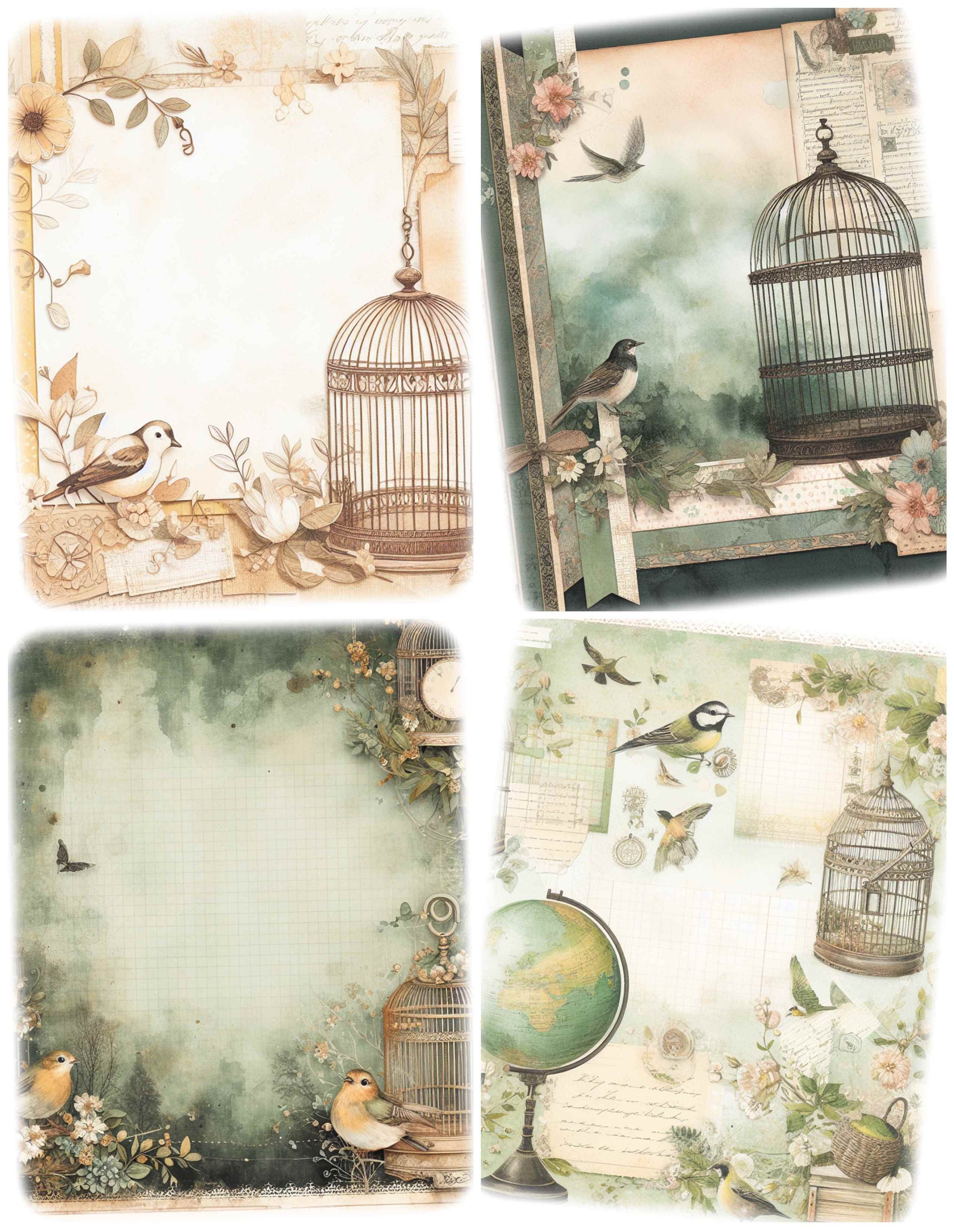 Birds World, Scrapbook Paper, Digital Printable Papers, Background, Non ...