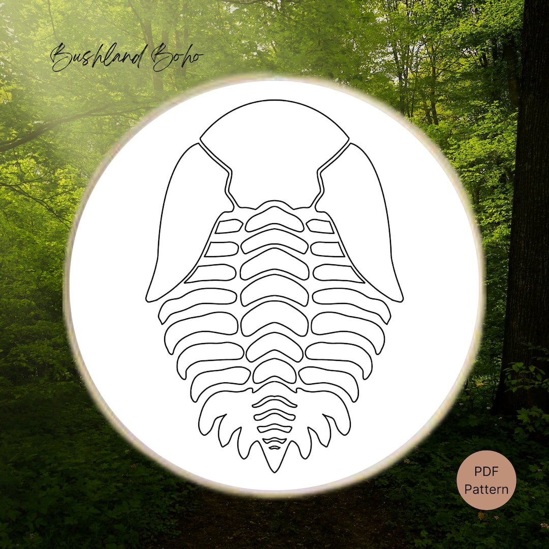 Trilobite Fossil - Jurassic Dinosaur - Prehistoric Preserved Animal ...