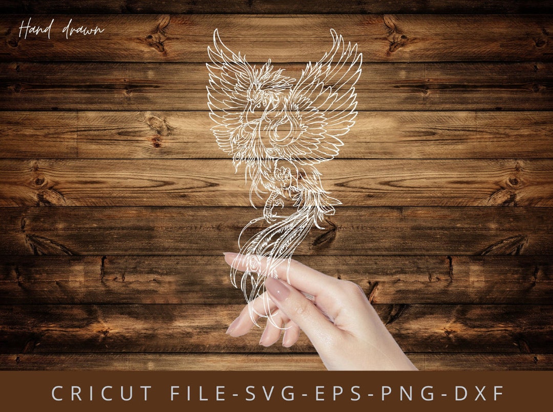 Hand Drawn Phoenix Line Art, SVG PNG Clipart (digital Download) - Etsy