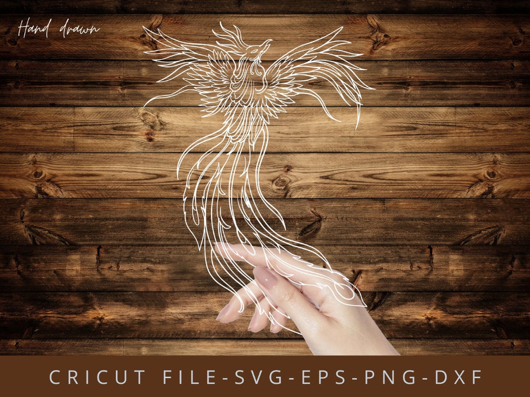 Hand Drawn Phoenix Line Art, SVG PNG Clipart (digital Download) - Etsy
