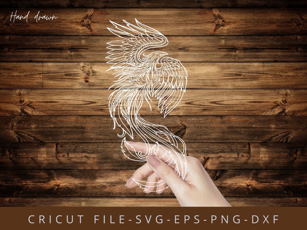 Hand Drawn Phoenix Line Art (svg, Png, Eps, Dxf) (digital Download) - Etsy
