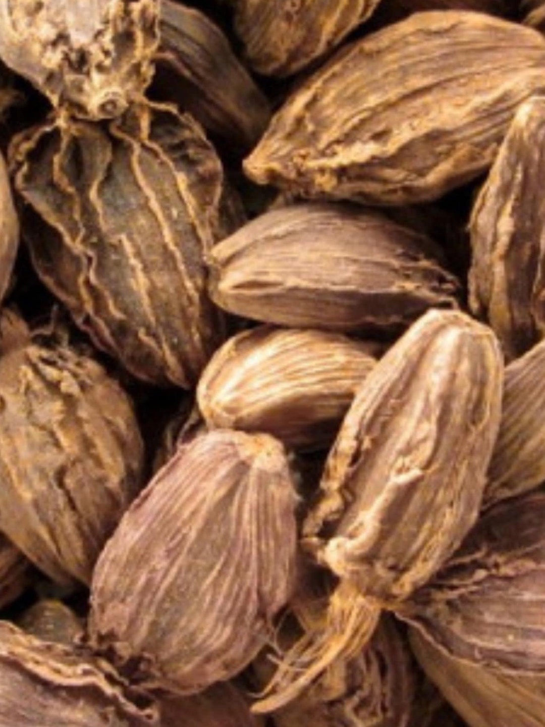 Black Cardamom 50g, Wild Cardamom 50g, Cardamom 50g - Etsy