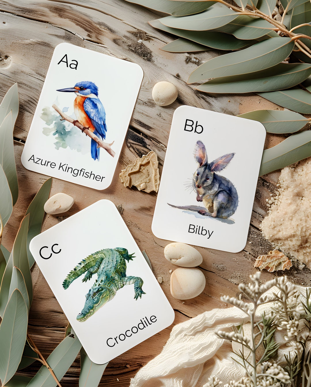 Australian Animal Alphabet Flash Cards ABC Cards Australia Flashcards ...