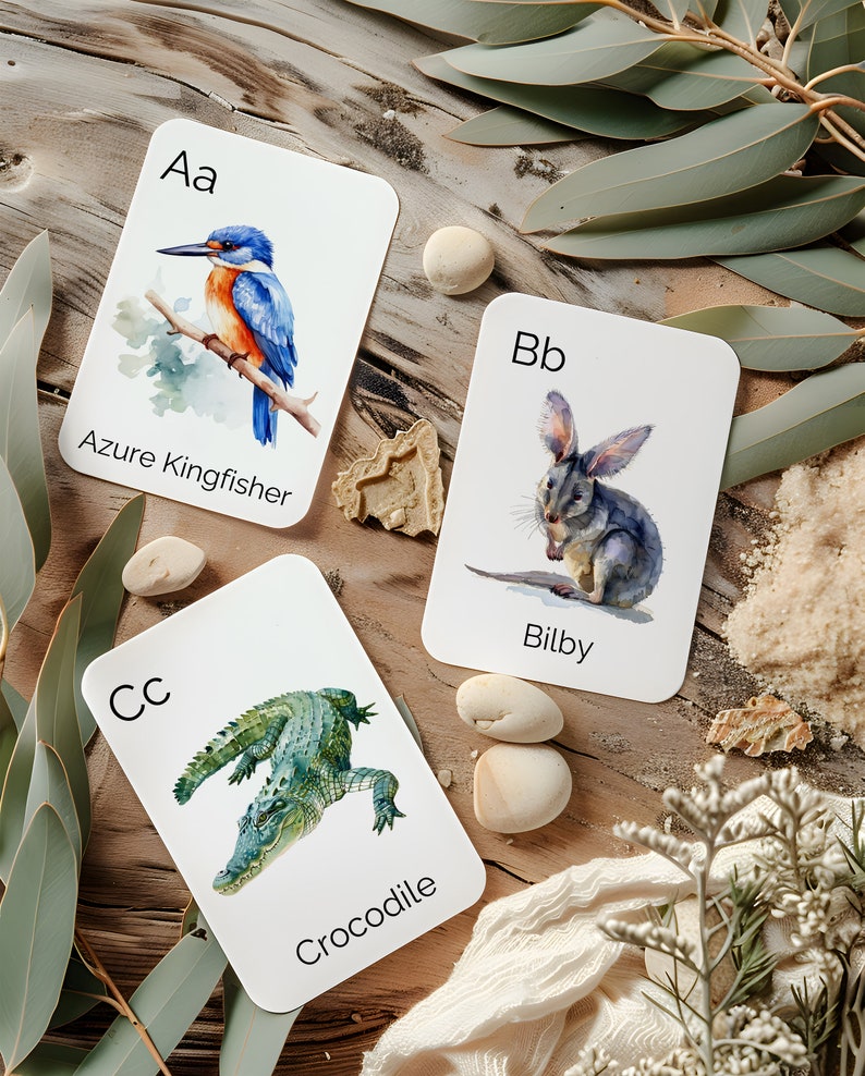 Australian Animal Alphabet Flash Cards ABC Cards Australia Flashcards ...