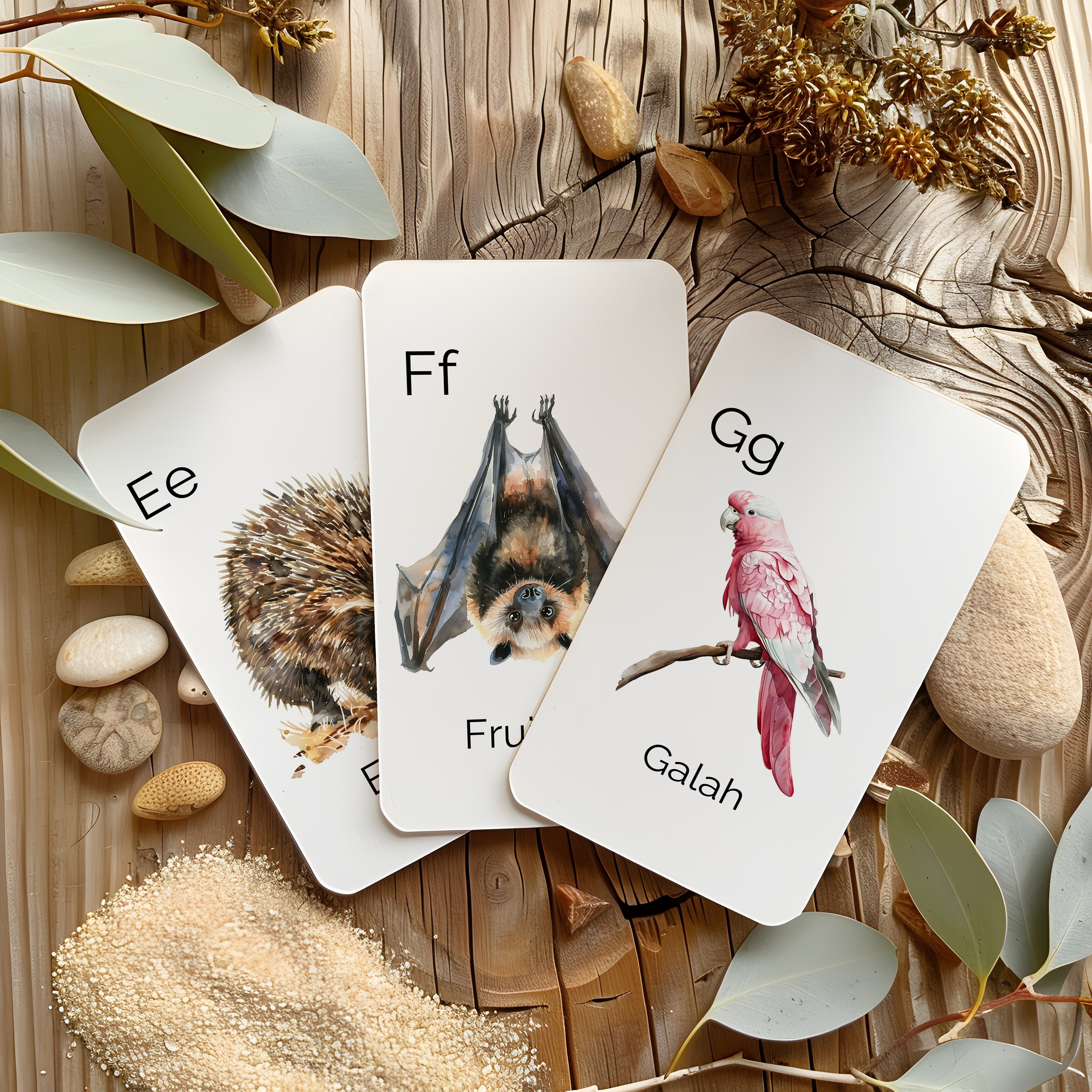 Australian Animal Alphabet Flash Cards ABC Cards Australia Flashcards ...