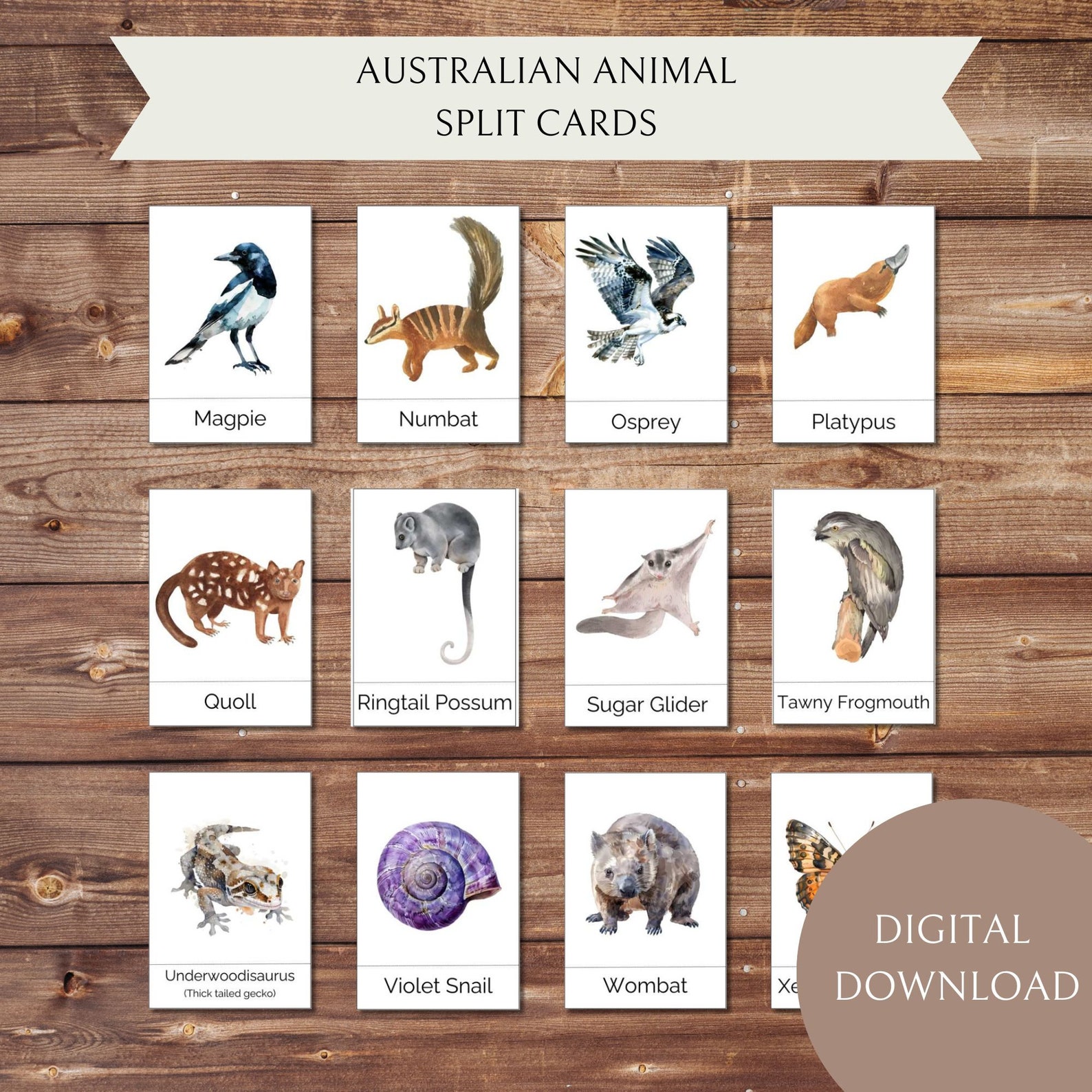 Australian Animal Alphabet Flash Cards ABC Cards Australia Flashcards ...