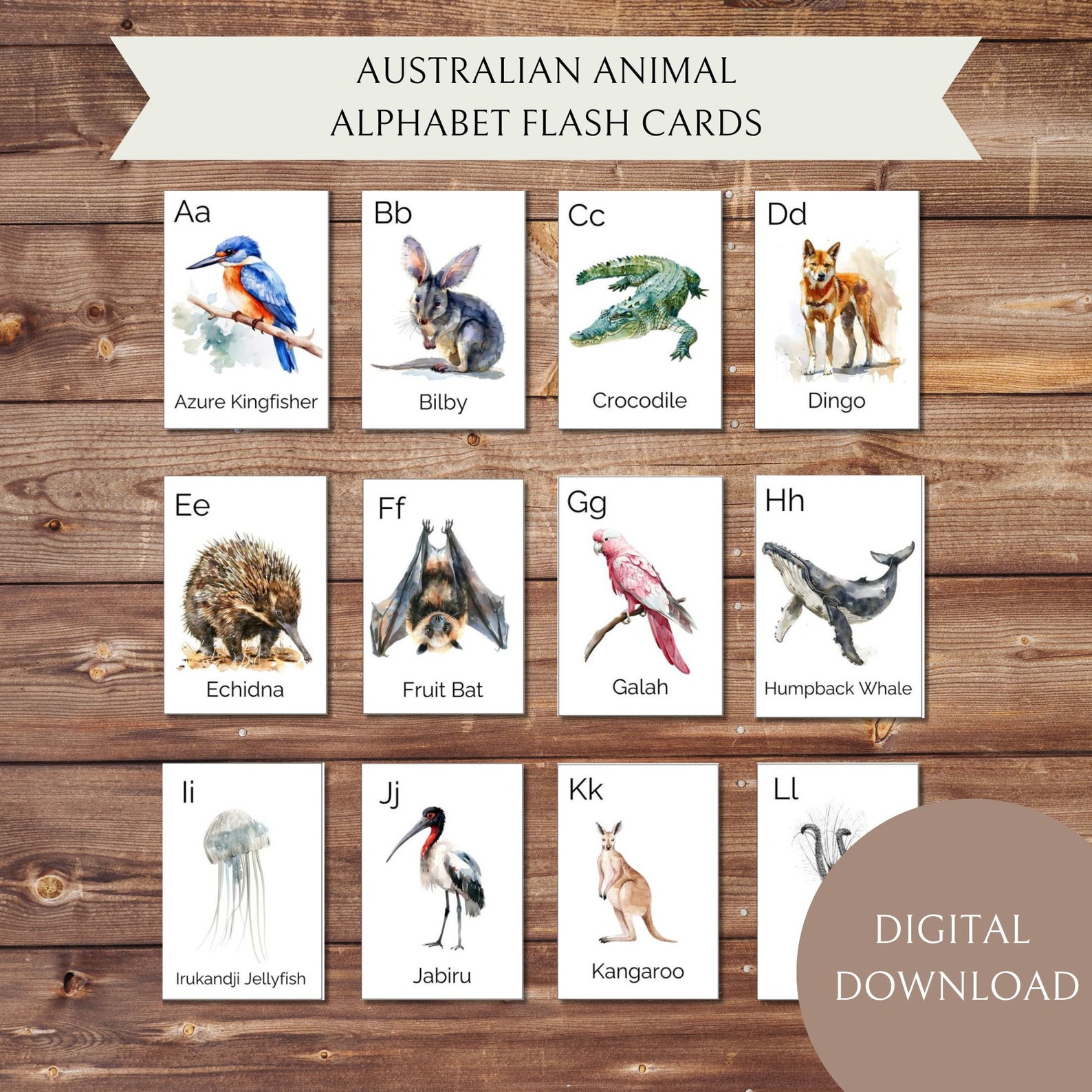 Australian Animal Alphabet Flash Cards ABC Cards Australia Flashcards ...